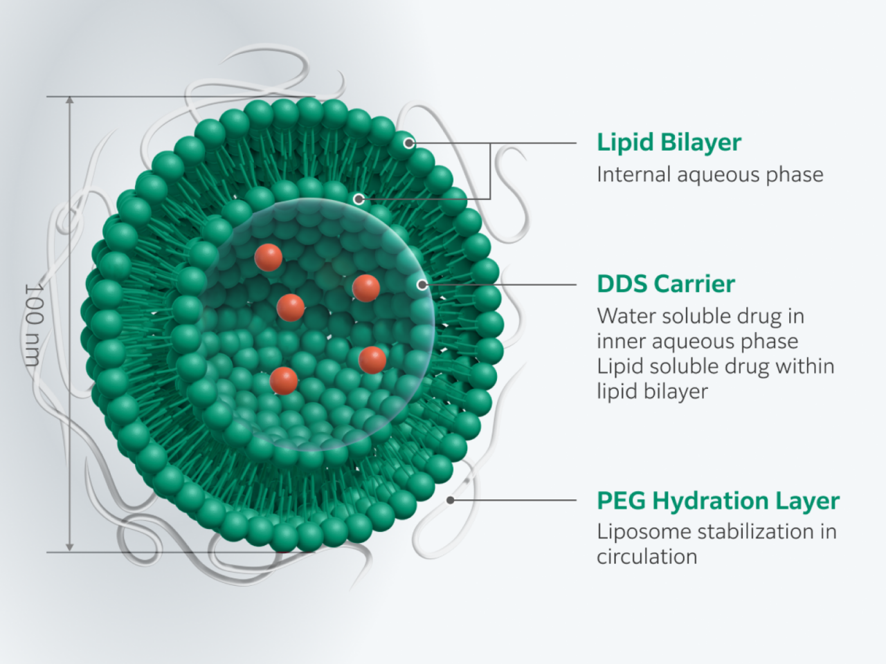 Liposomes - Fujifilm Pharma