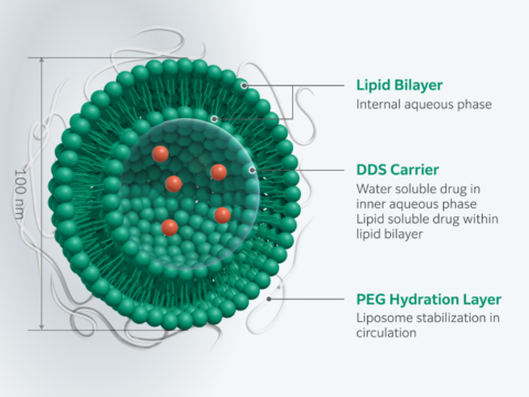 Liposomes - Fujifilm Pharma