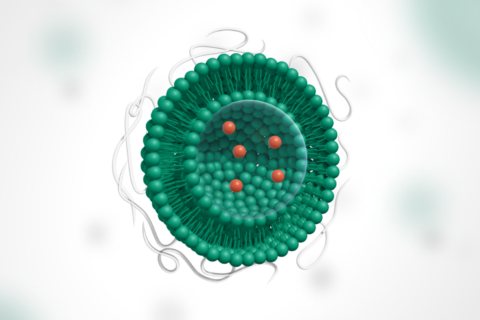 Liposomes - Fujifilm Pharma